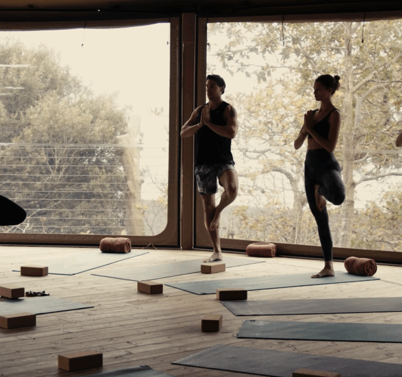 What's on - Tors Park